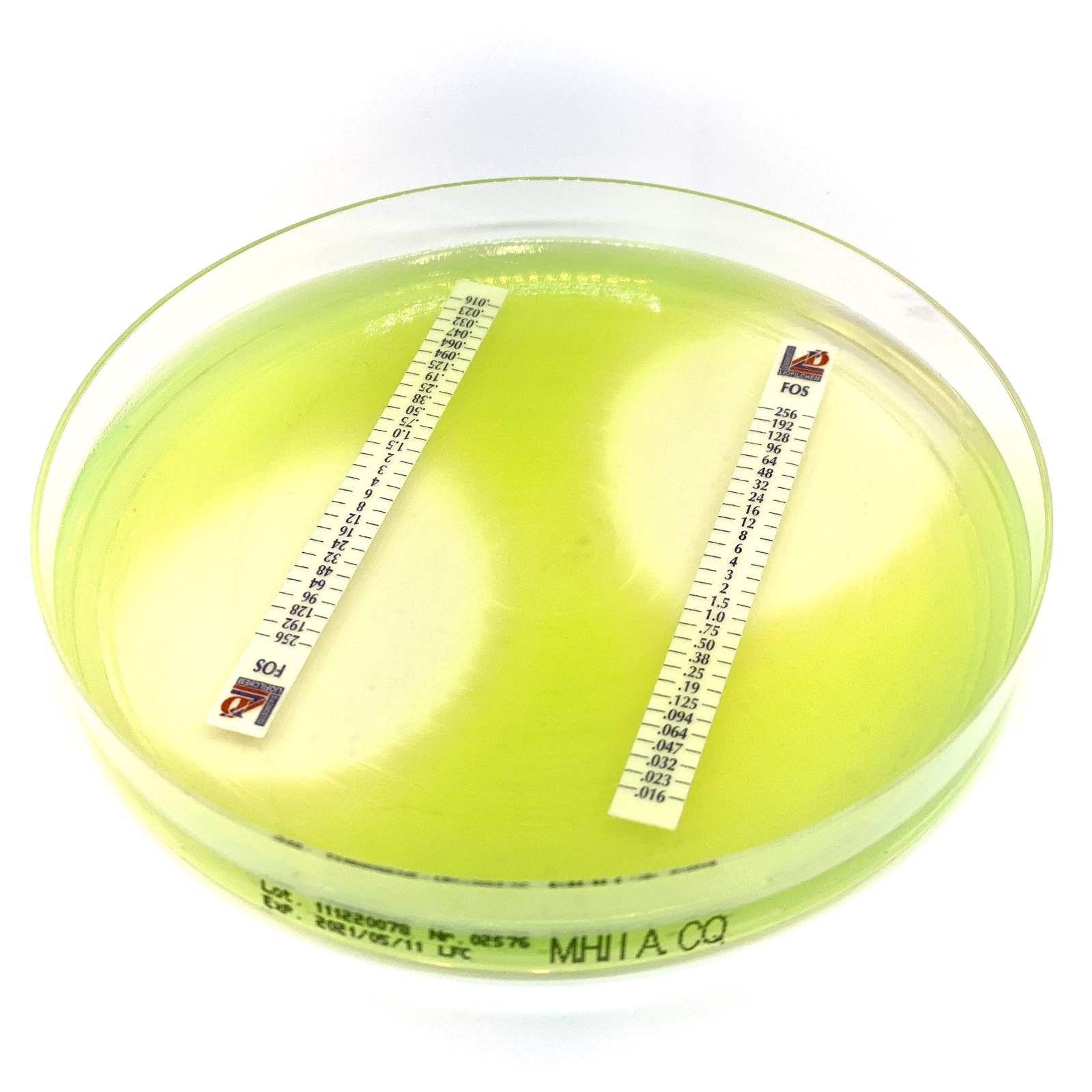 Liofilchem opens regional office in Denmark